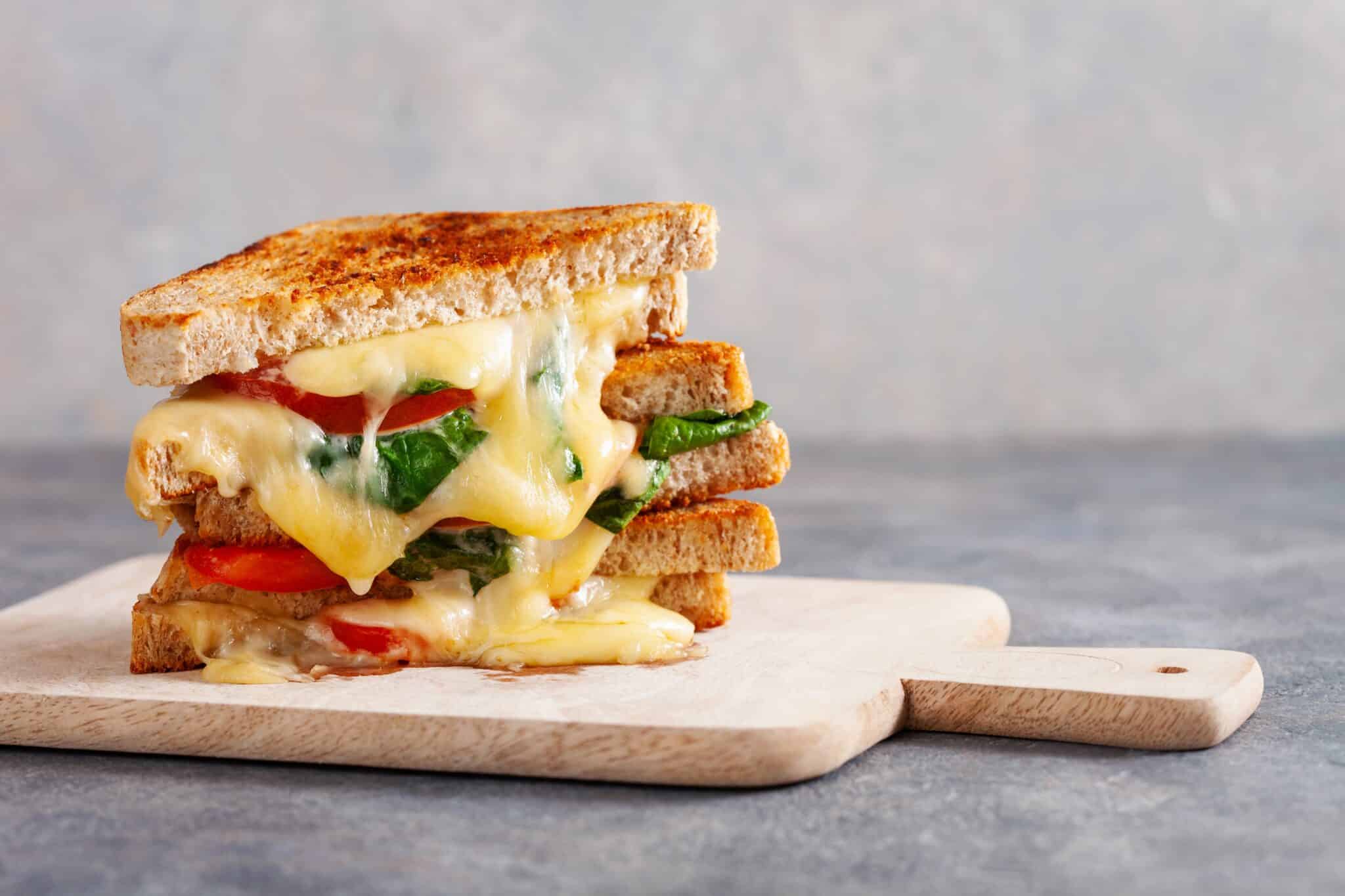 Grilled Cheese Sandwich - MarketGrow.com